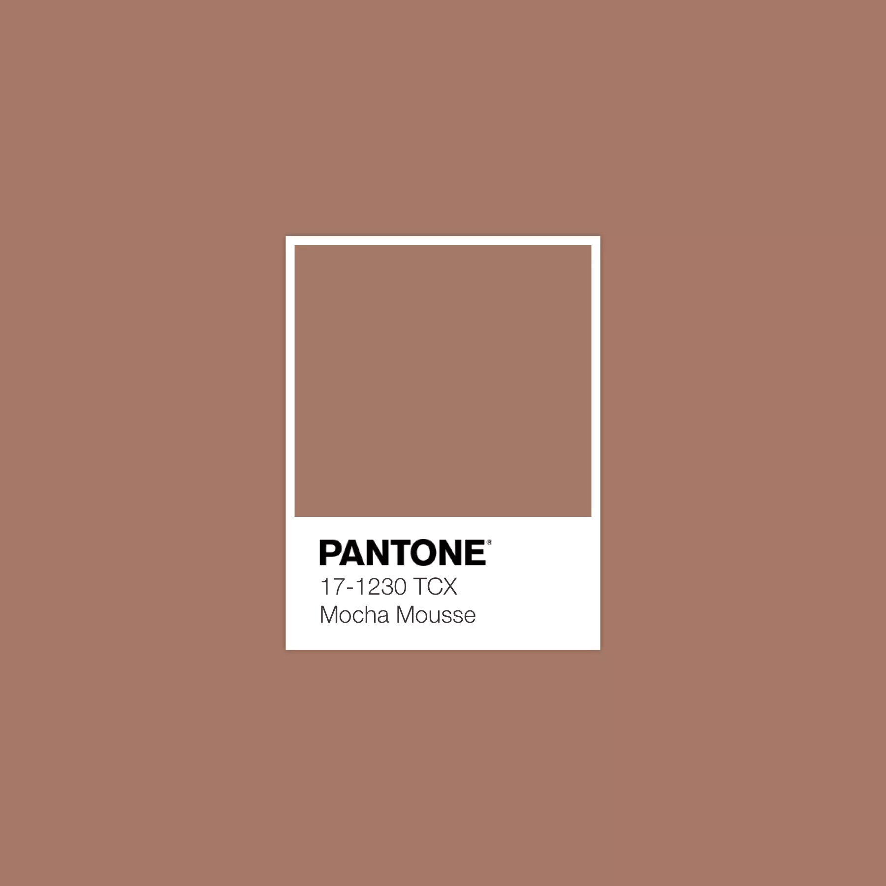 Discover the Elegance of Pantone's 2025 Colour of the Year: Mocha Mousse